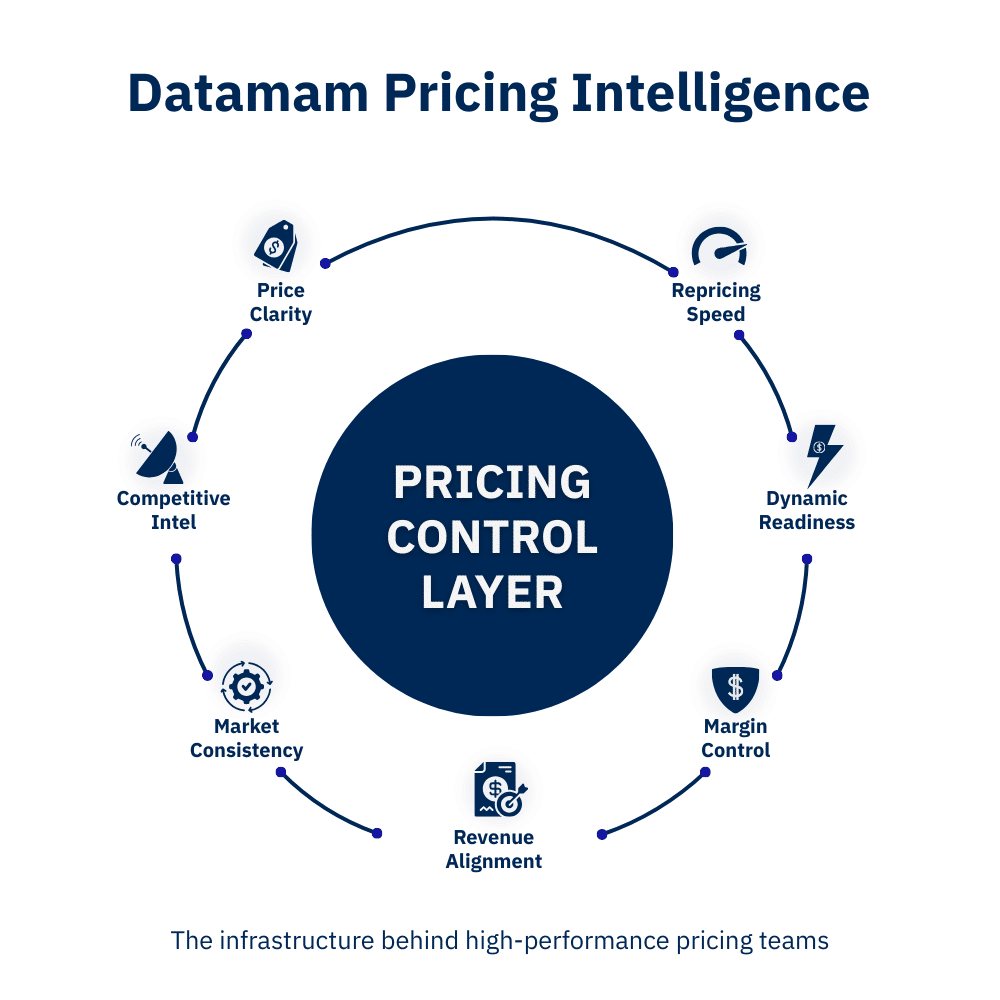 Pricing Intelligence for Enterprise Pricing Teams | Datamam